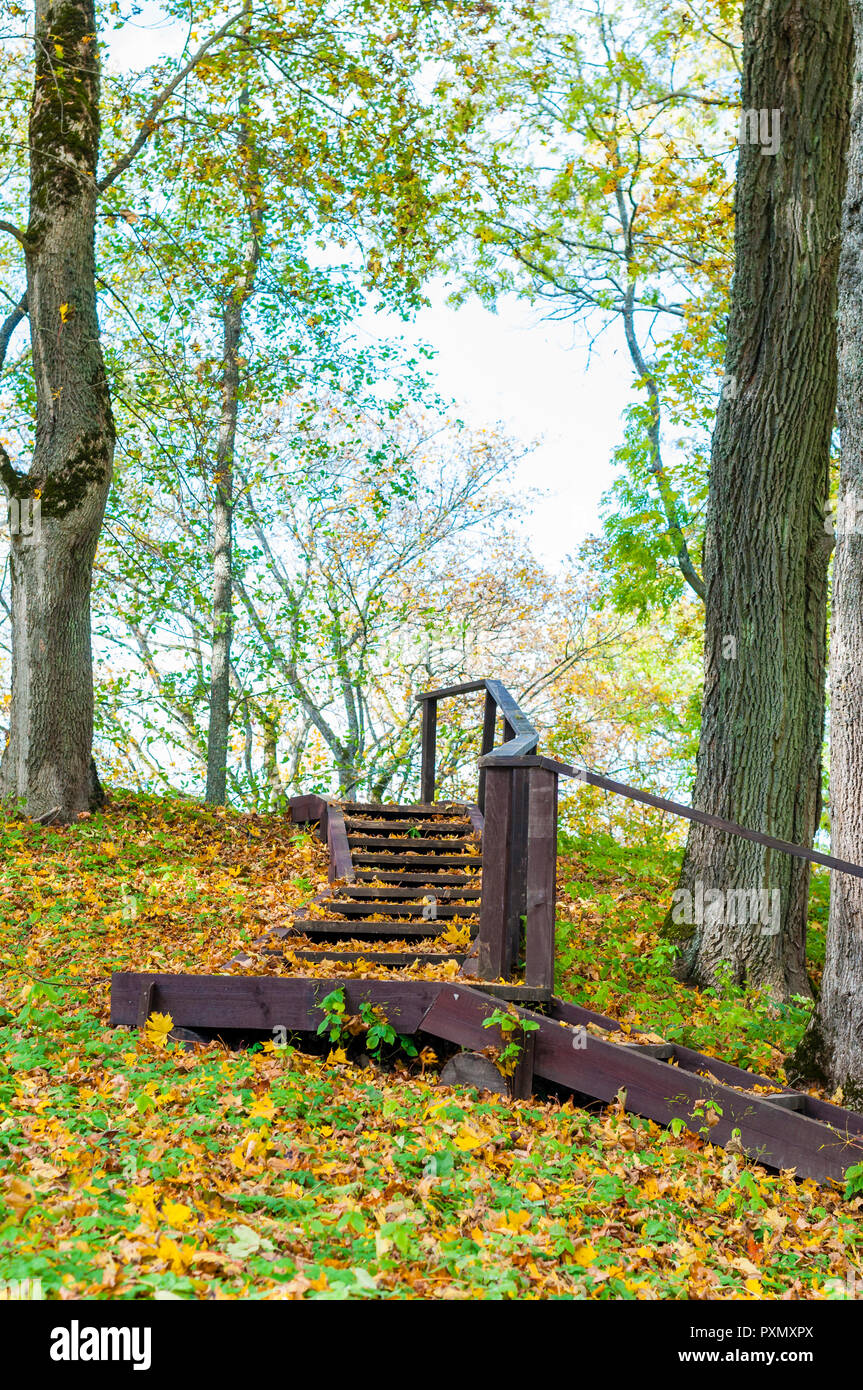 Young Indian Summer with all its glory. Cozy walking paths through the ...