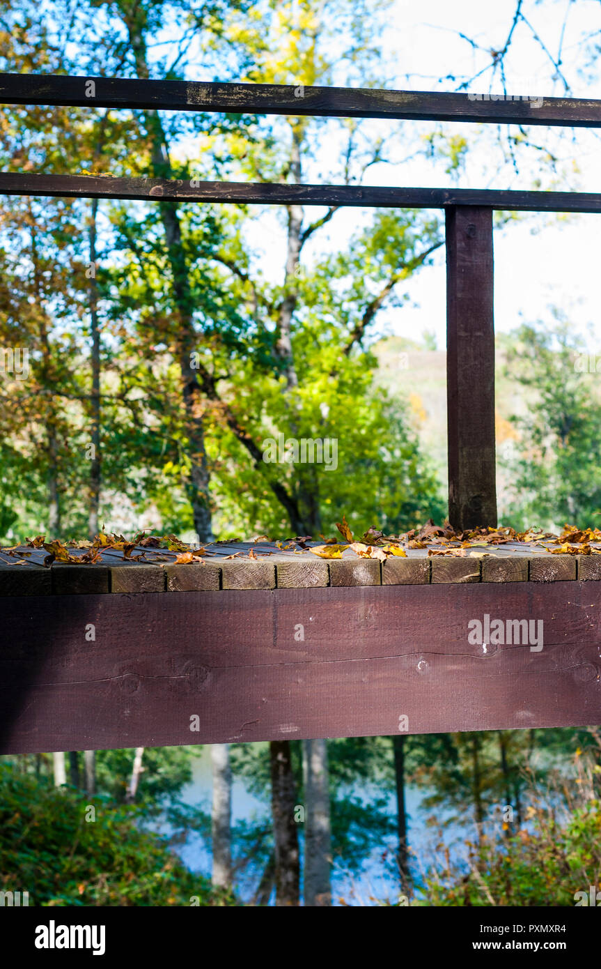 Young Indian Summer with all its glory. Cozy walking paths through the ...