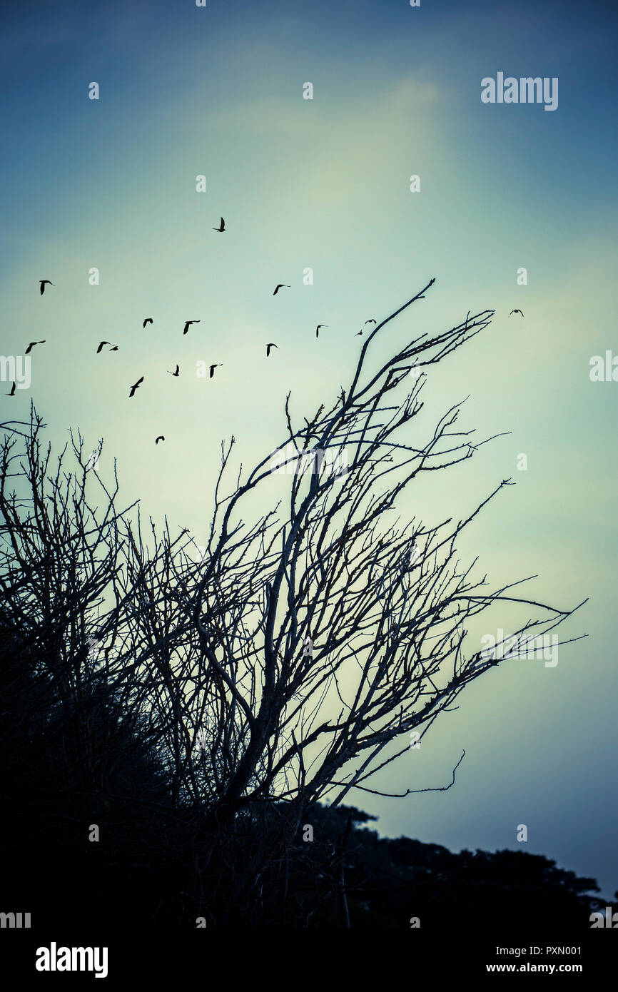 Sinister sky hi-res stock photography and images - Alamy