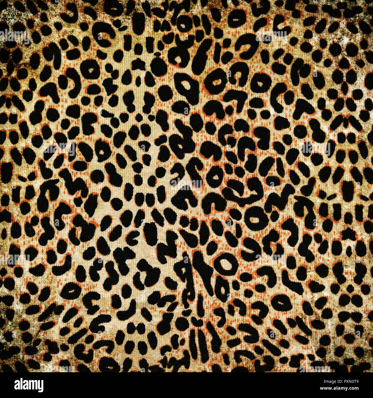 wild animal pattern background or texture close up - material Stock ...