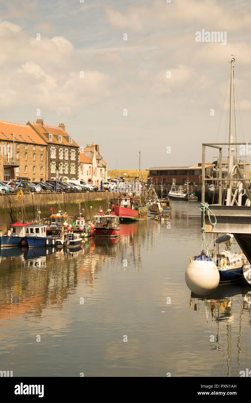Fishing boats in the harbour at Eyemouth, Berwickshire, Scotland Stock ...