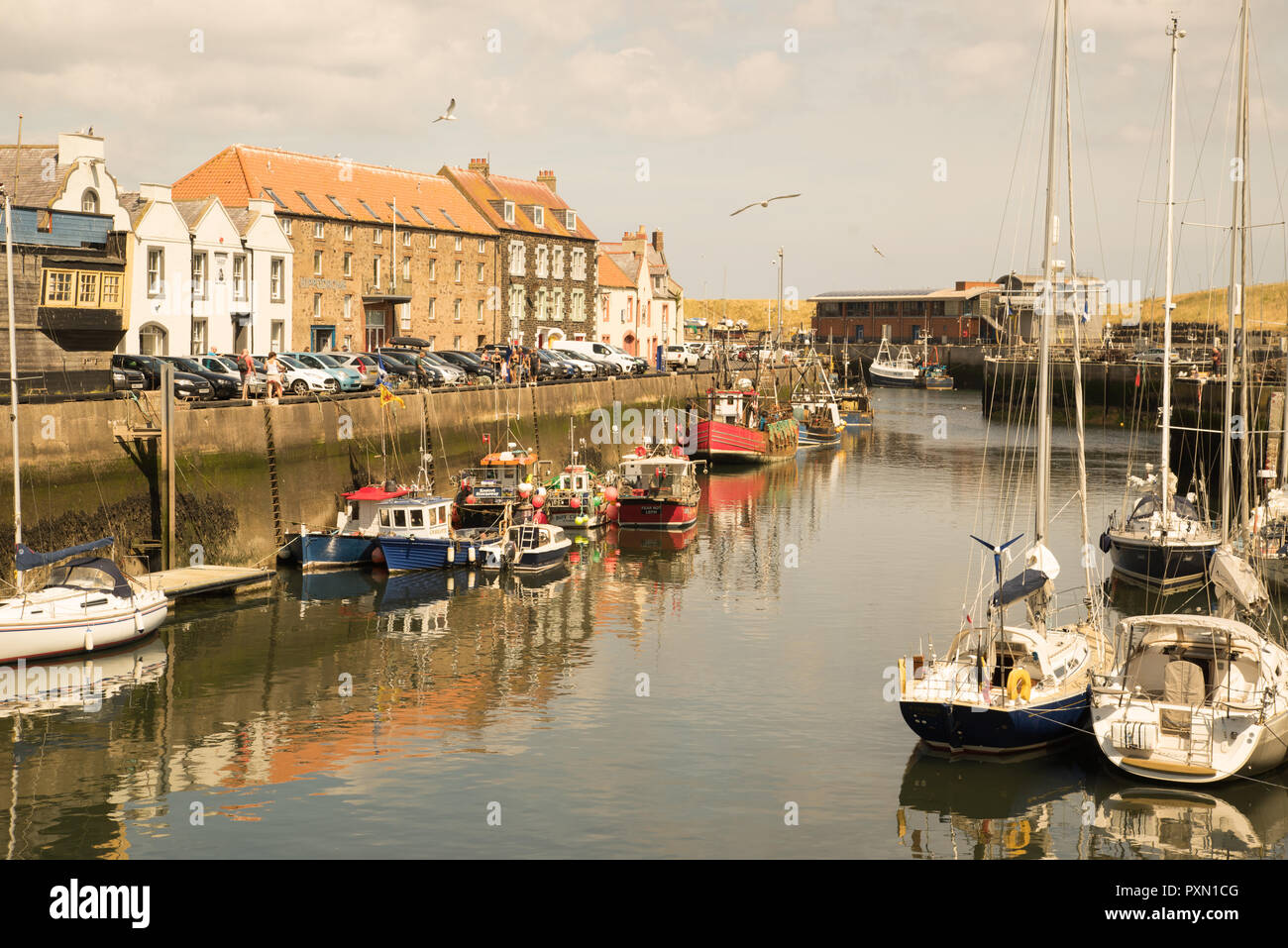 Fishing boats in the harbour at Eyemouth, Berwickshire, Scotland Stock ...