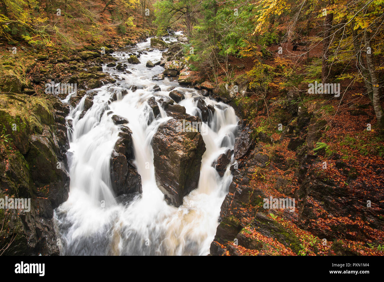 The Black Linn Falls at the Hermitage near Dunkeld, Perthshire ...