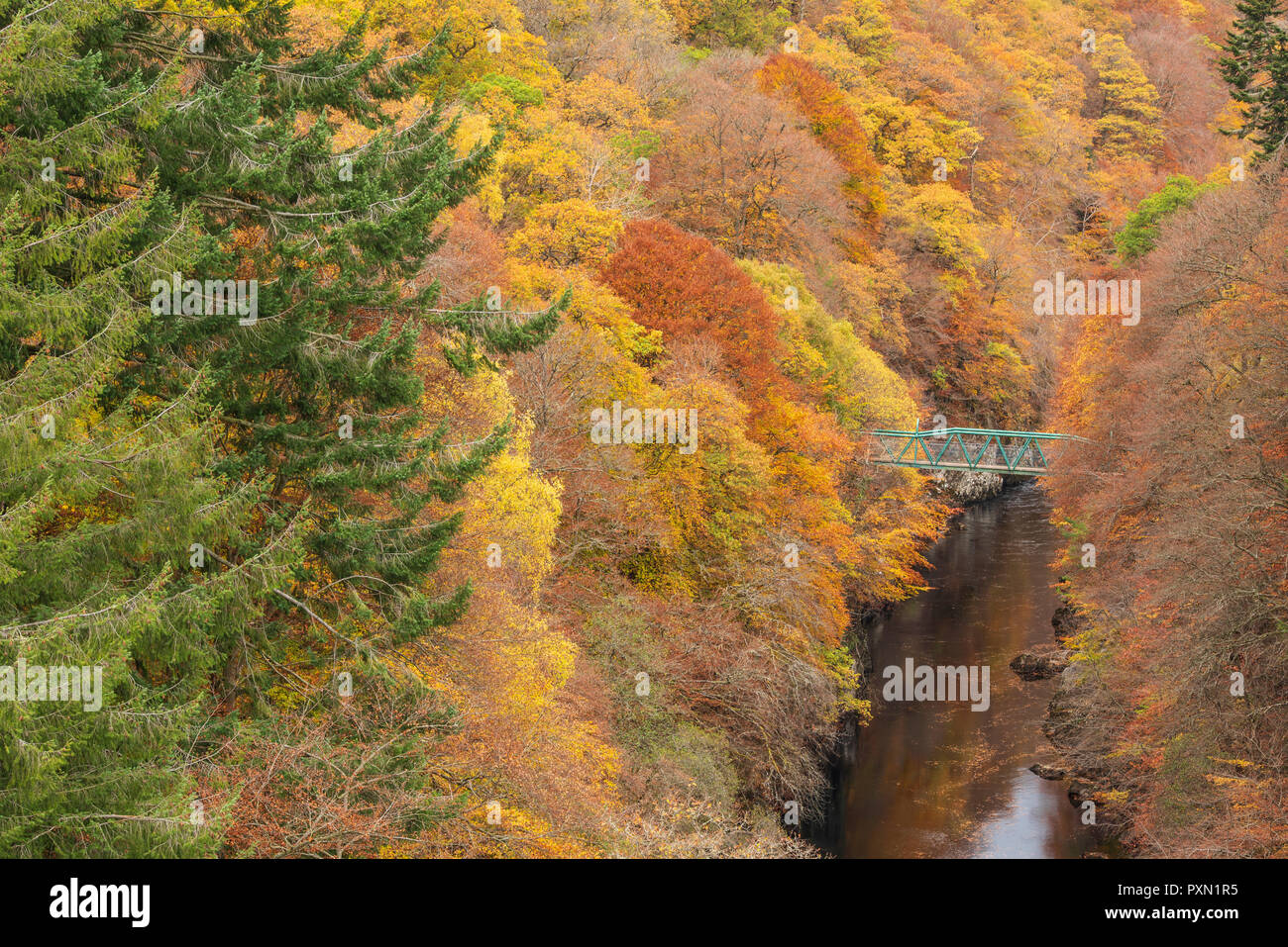 Footbridge over the River Garry, Killiecrankie Gorge, Perthshire ...