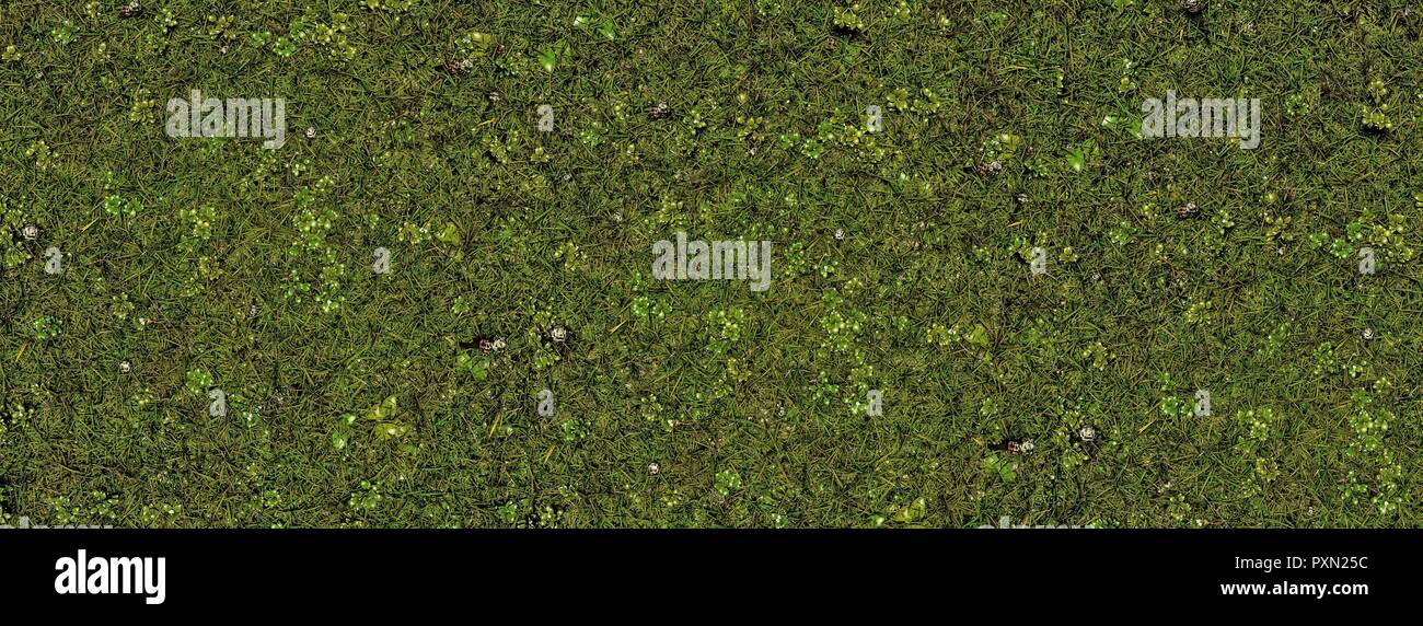 grass texture top view 3d illustration Stock Photo - Alamy