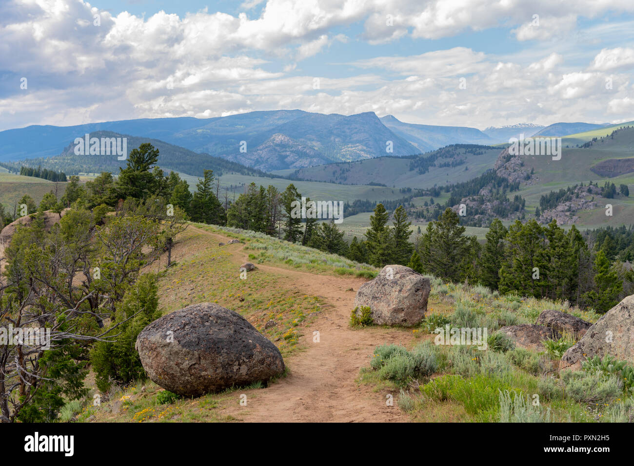Trail Along Ridge in Rolling Hills of Yellowstone Stock Photo - Alamy