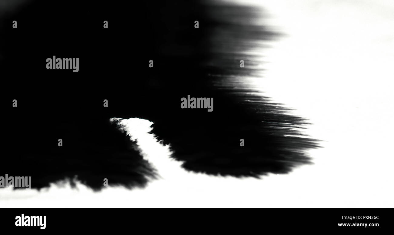 Black Ink Spill Stock Photos & Black Ink Spill Stock Images - Alamy