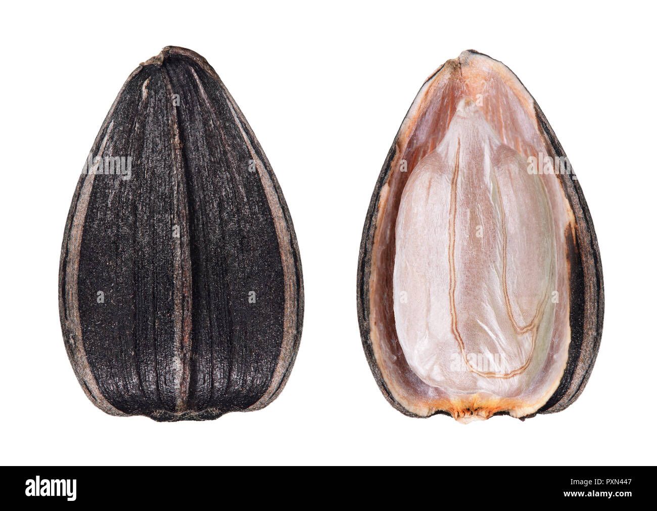 Super sunflower hi-res stock photography and images - Alamy