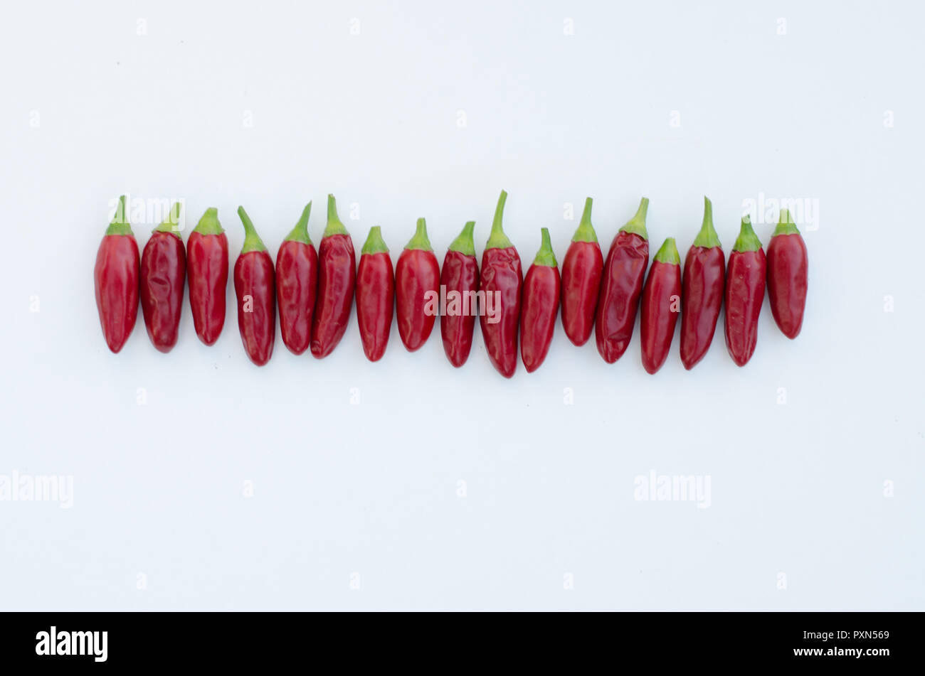 spicy red chilli pepper vegetable arranged in line isolated Stock Photo ...