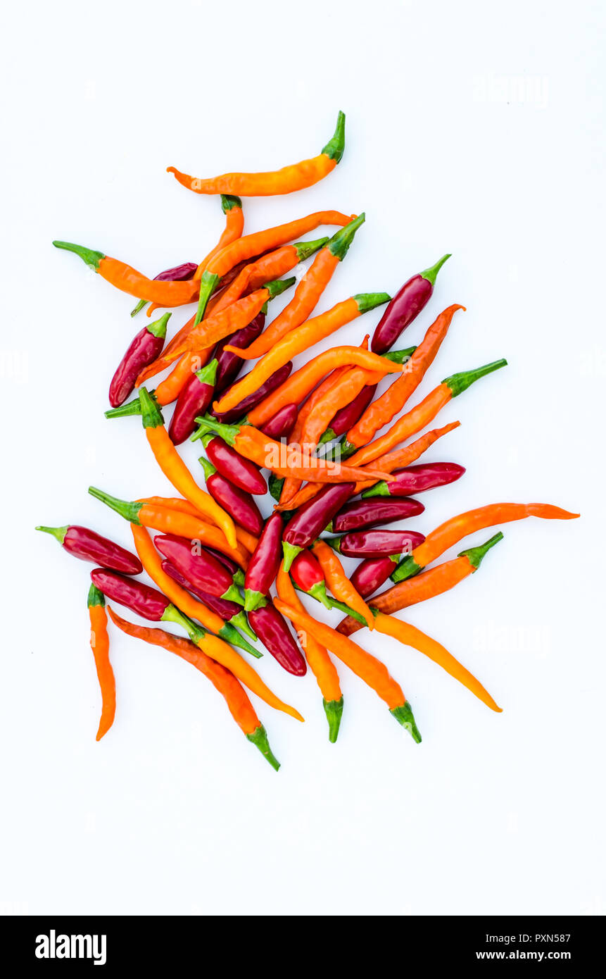 group of spicy colorful red and orange chilli pepper vegetables Stock ...