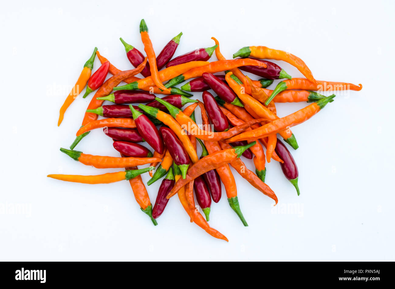 group of spicy colorful red and orange chilli pepper vegetables Stock ...
