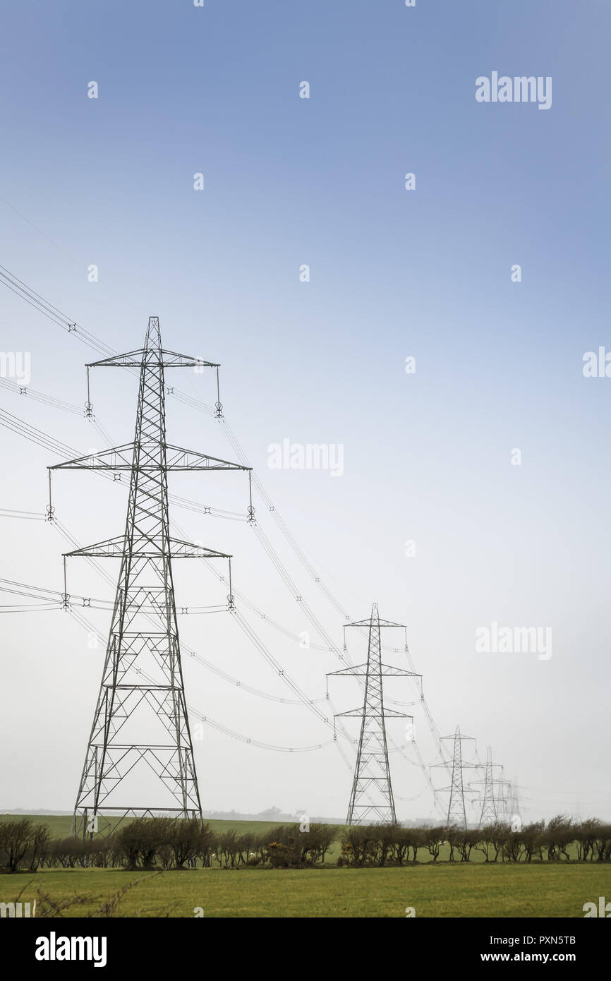 A line of electricity pylons carries power cables across open ...