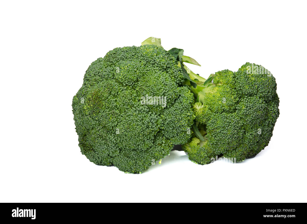 Green vegan broccoli soup Cut Out Stock Images & Pictures - Alamy