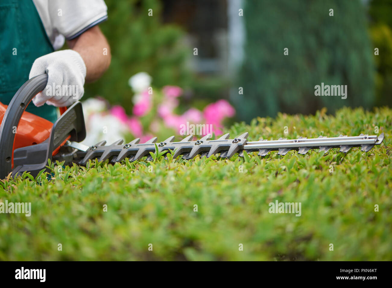 Professional male gardener, wearing in special overalls with protective ...