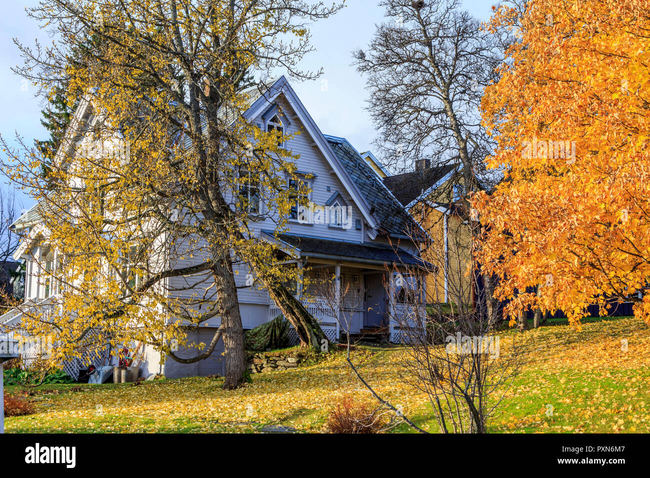 tourist information offices autumn into winter scenic landscape images ...