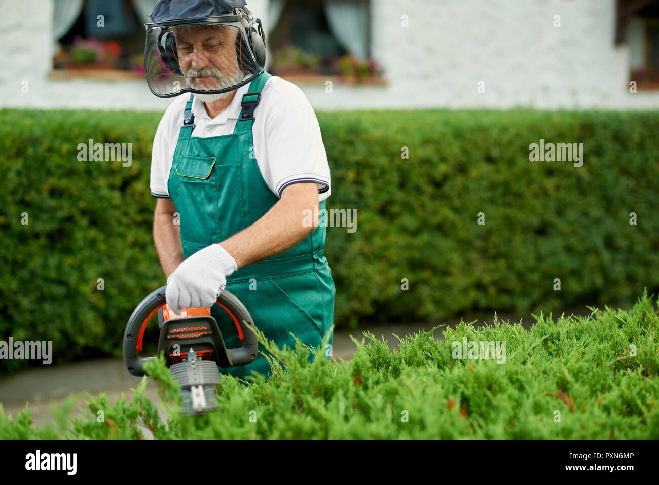 Professional landscape gardener hi-res stock photography and images - Alamy