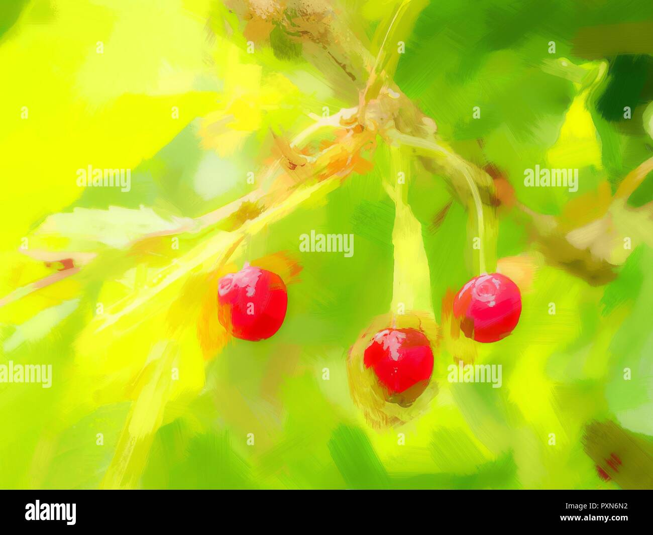 Oil painting effect. Wet fruits of red wild cherries hanging on the ...