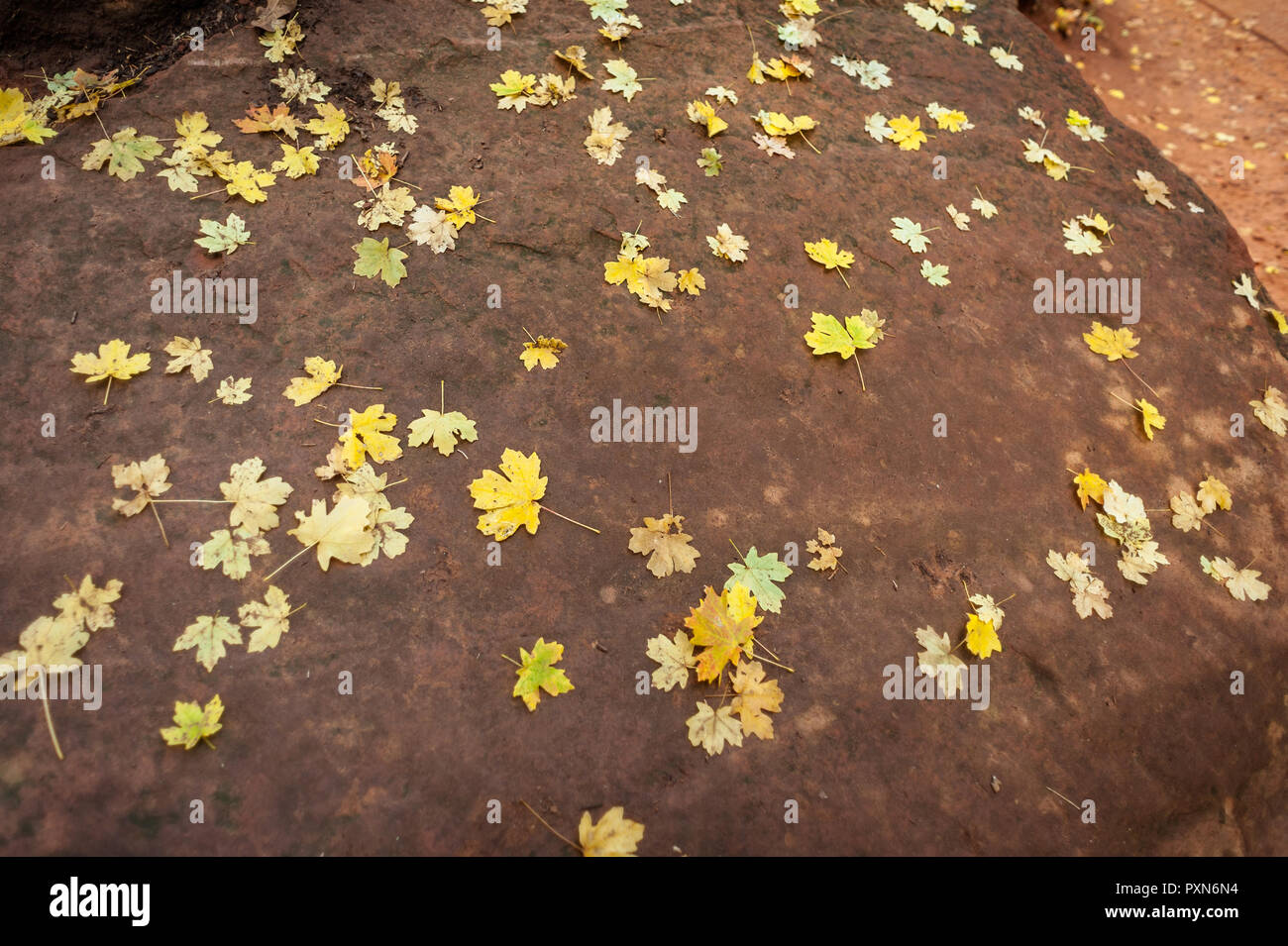 Scattered rock background hi-res stock photography and images - Alamy