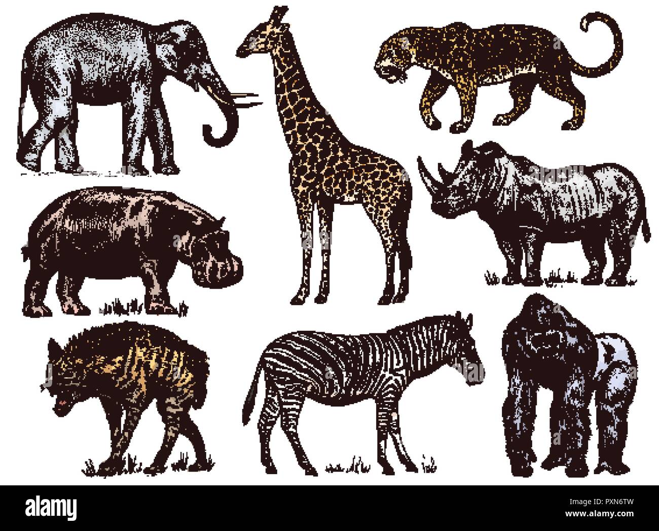 Set of African animals. Rhinoceros Elephant Giraffe Hippopotamus ...