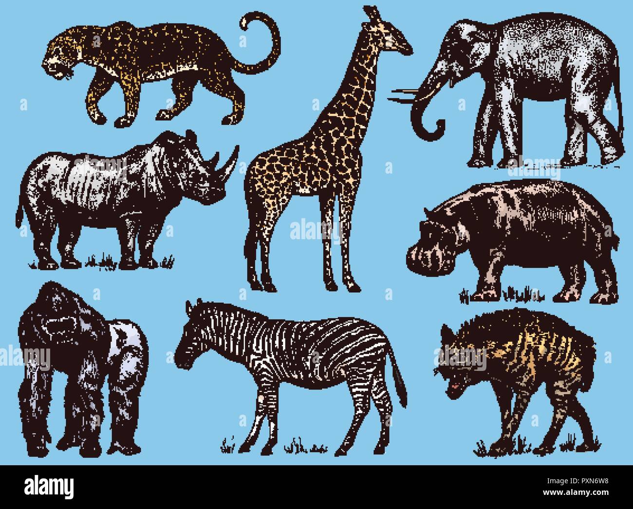 Set of African animals. Rhinoceros Elephant Giraffe Hippopotamus ...