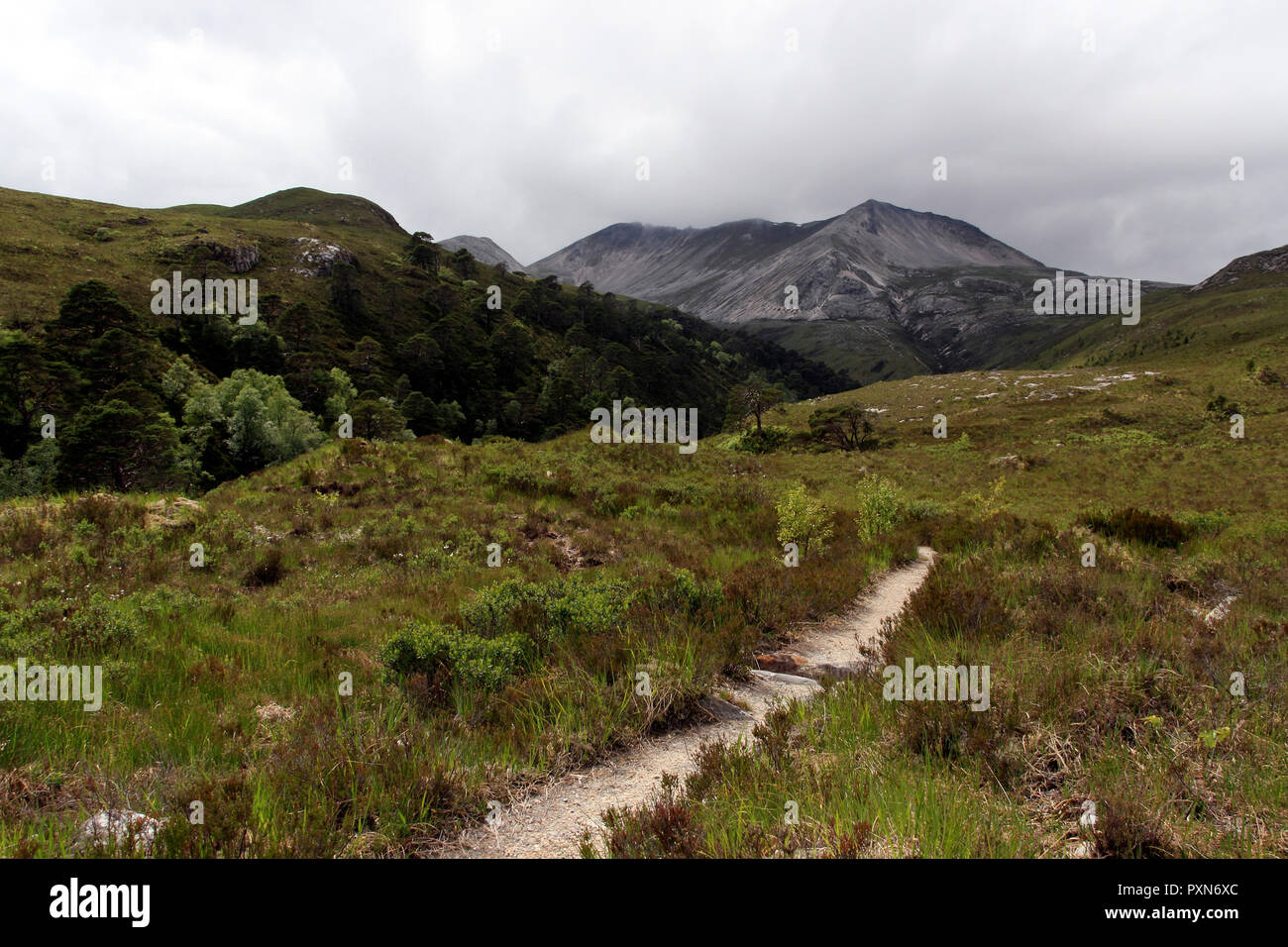 Beinn Eighe National Park, Wester Ross, Scottish Highlands, Scotland ...