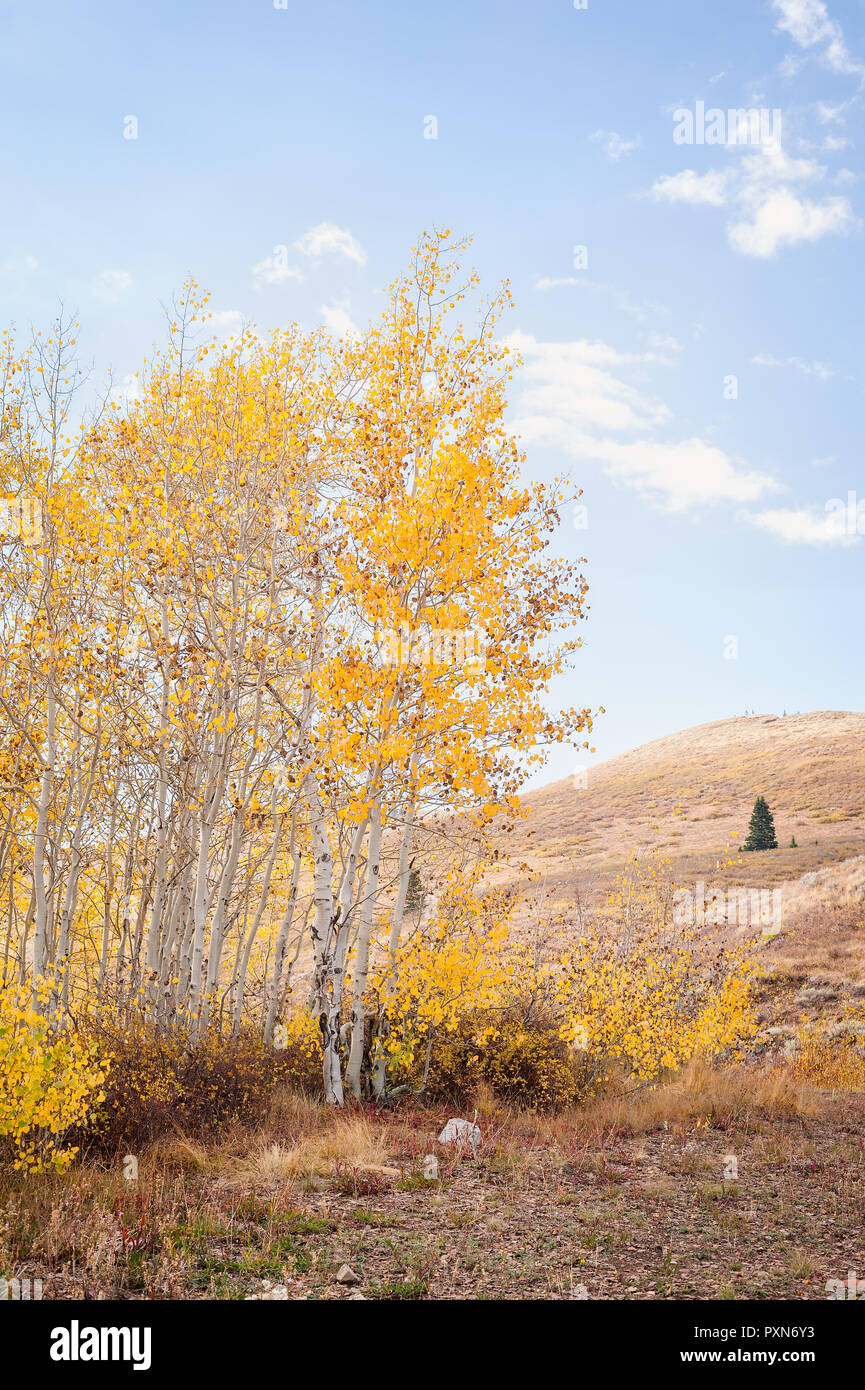 Autumn landscape with trees, blue sky and clouds Stock Photo - Alamy