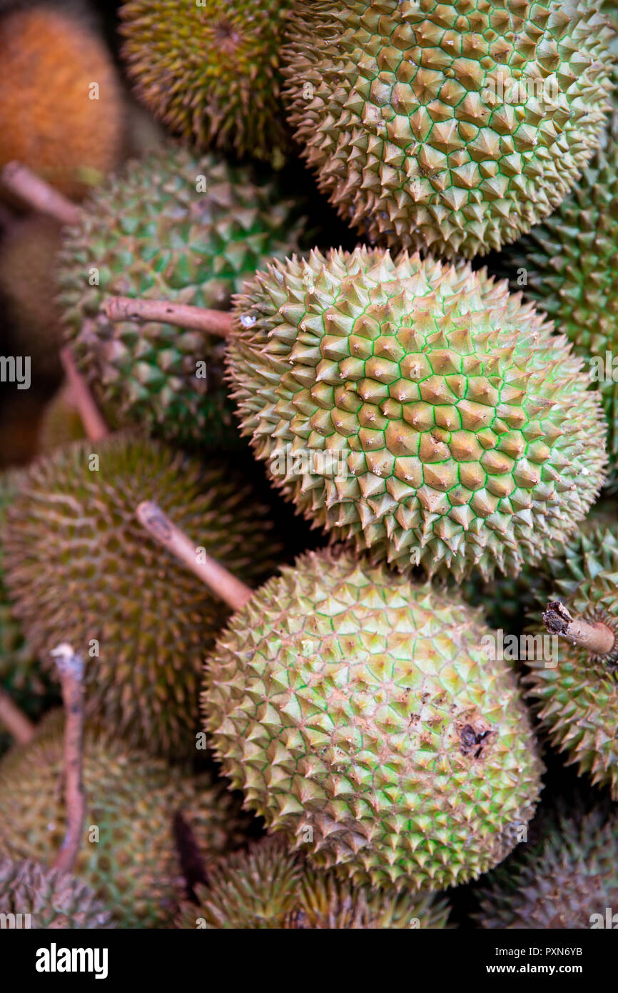 Details of the Exotic Asian Fruit Durian Stock Photo - Alamy