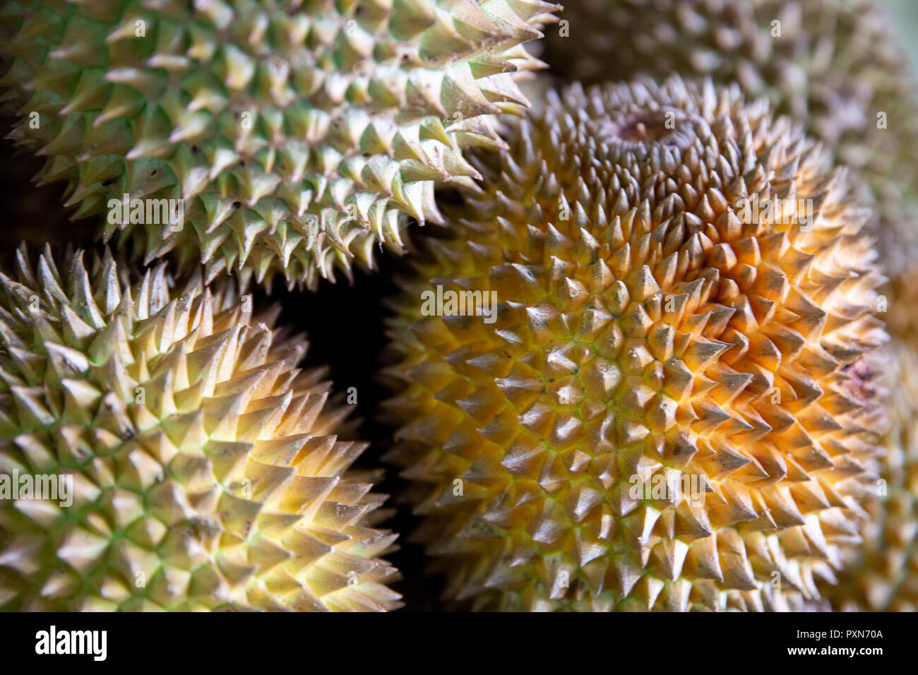 Stinky fruit hi-res stock photography and images - Alamy