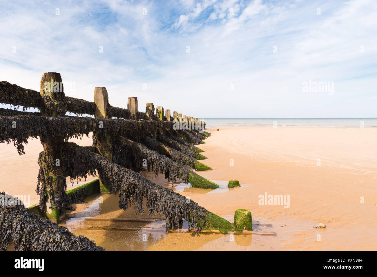 Beachdivider hi-res stock photography and images - Alamy