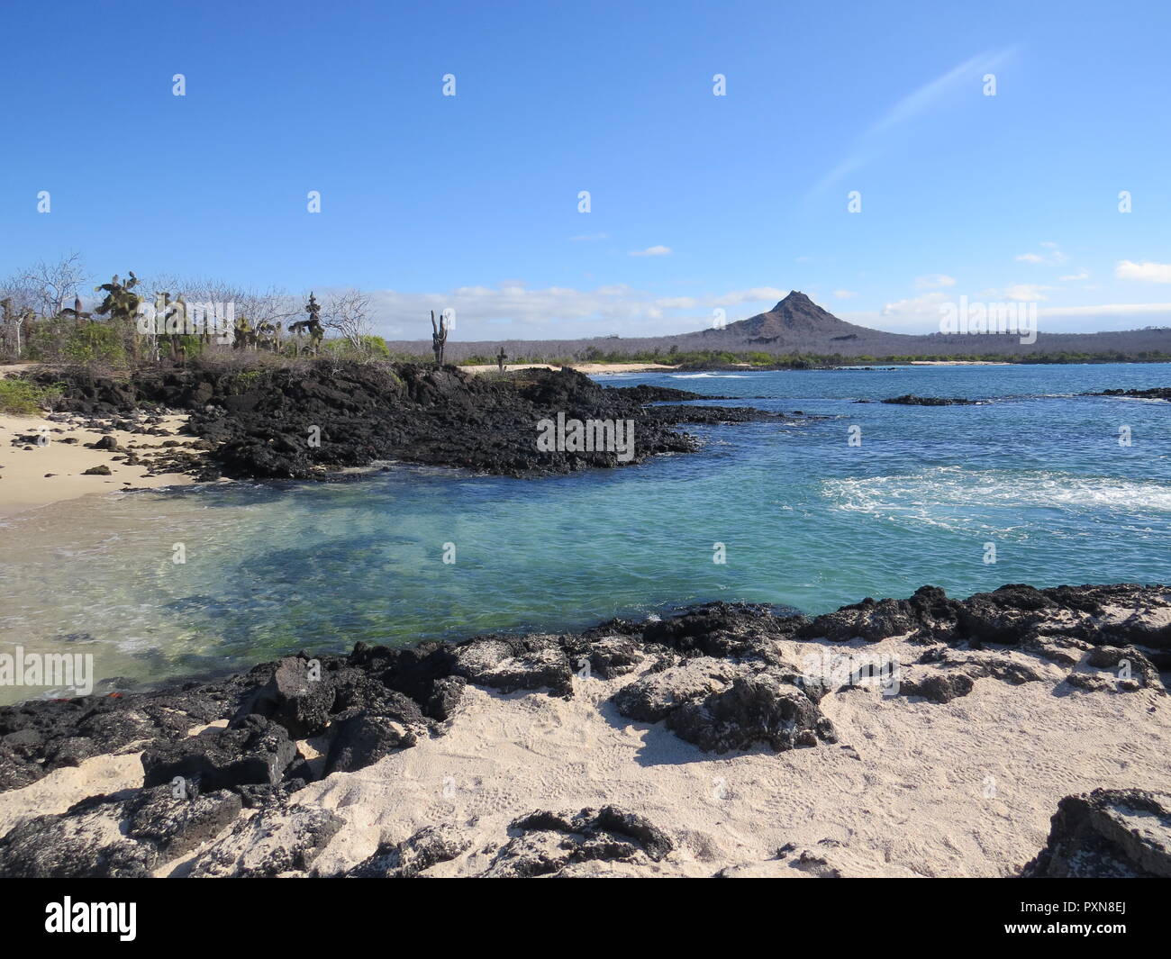 Rocky volcanic beach with inactive volcano in background, Galapagos ...