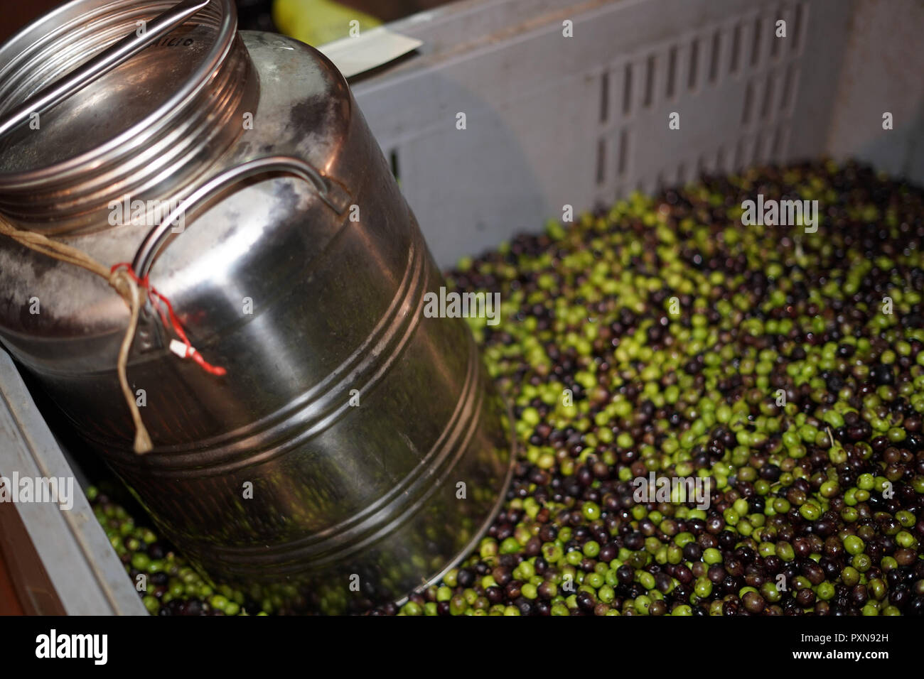 Olive Oil Mill Italy at Oliver Vaccari blog