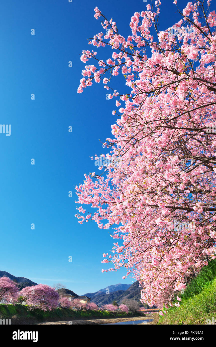 Prefecture level city hi-res stock photography and images - Alamy