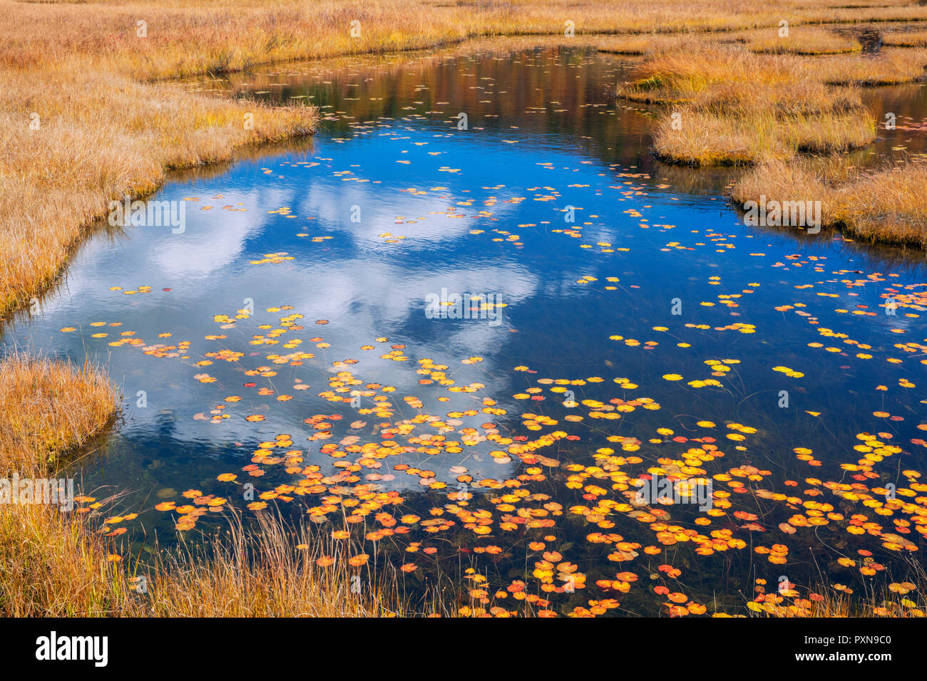 Gunma Prefecture, Japan Stock Photo - Alamy