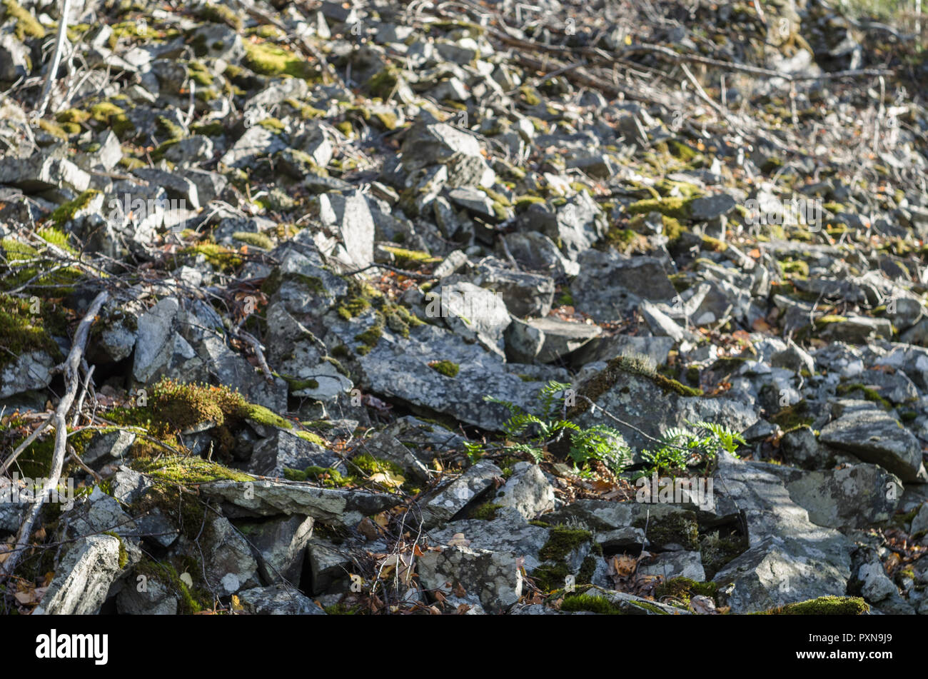 Shallow slope hi-res stock photography and images - Alamy