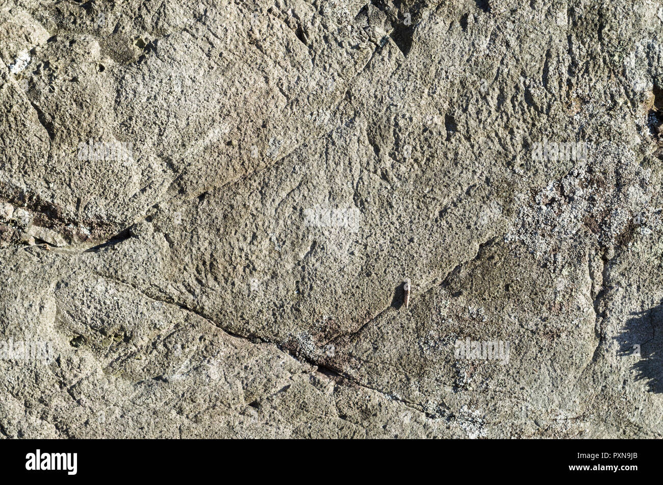 Flat bare surface of grey rock in hard direct light of autumn sun Stock ...
