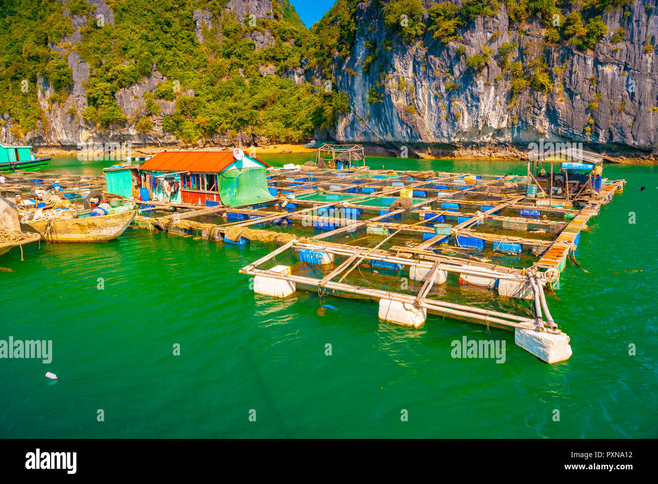 Floating village in Halong Bay, Vietnam Stock Photo - Alamy
