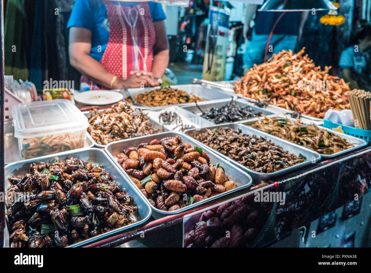 Fried insects on the streets of Bangkok, Thailand Stock Photo - Alamy