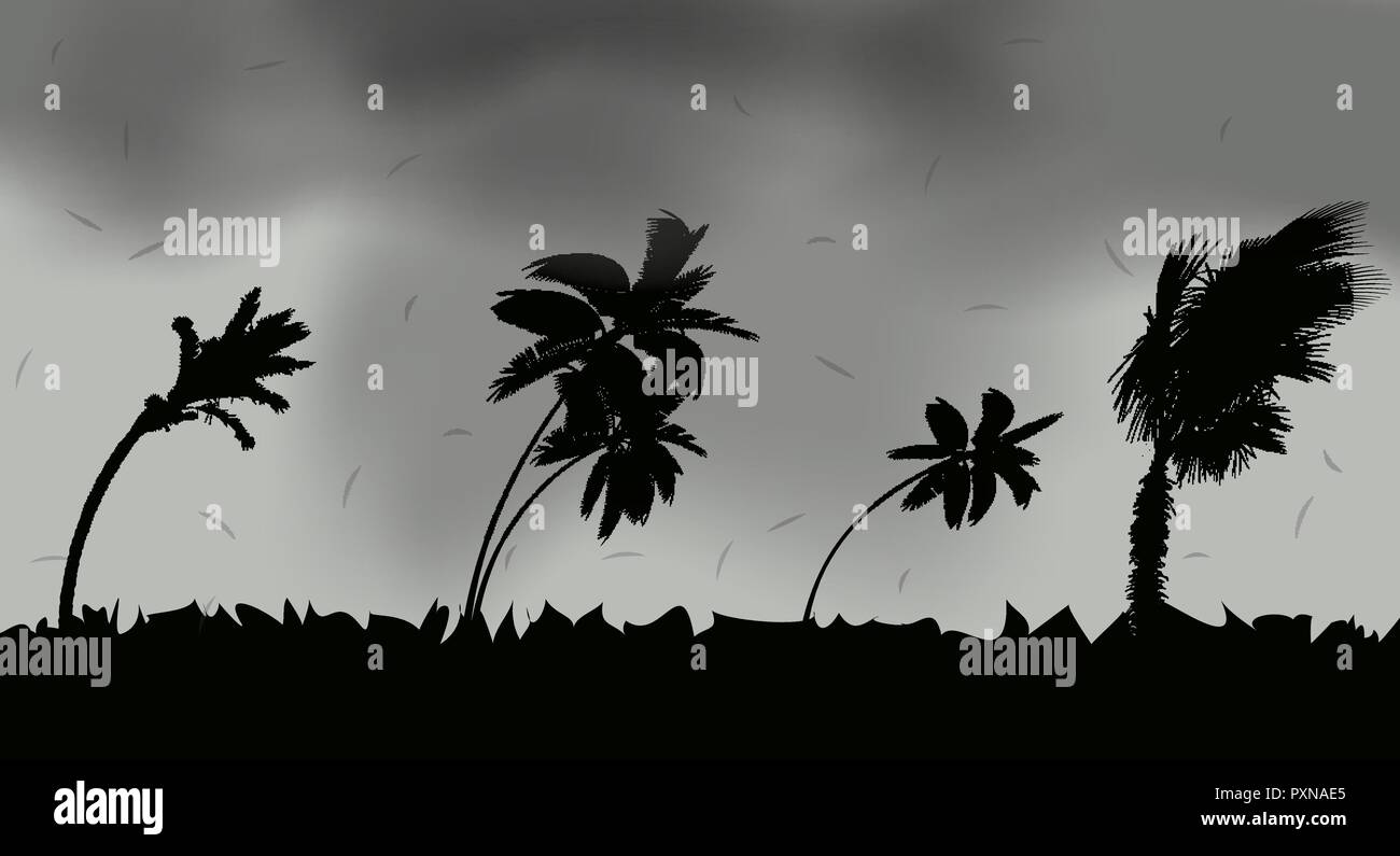 Palm trees during storm and hurricane. Leaves fly across the sky from a ...