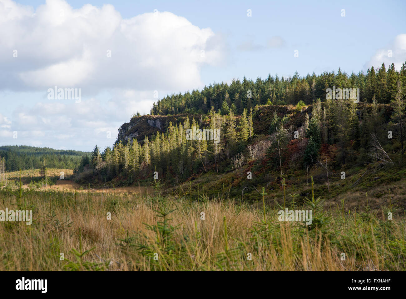Scenic view on Lough Navar Forest in Co. Fermanagh, Northern Ireland ...