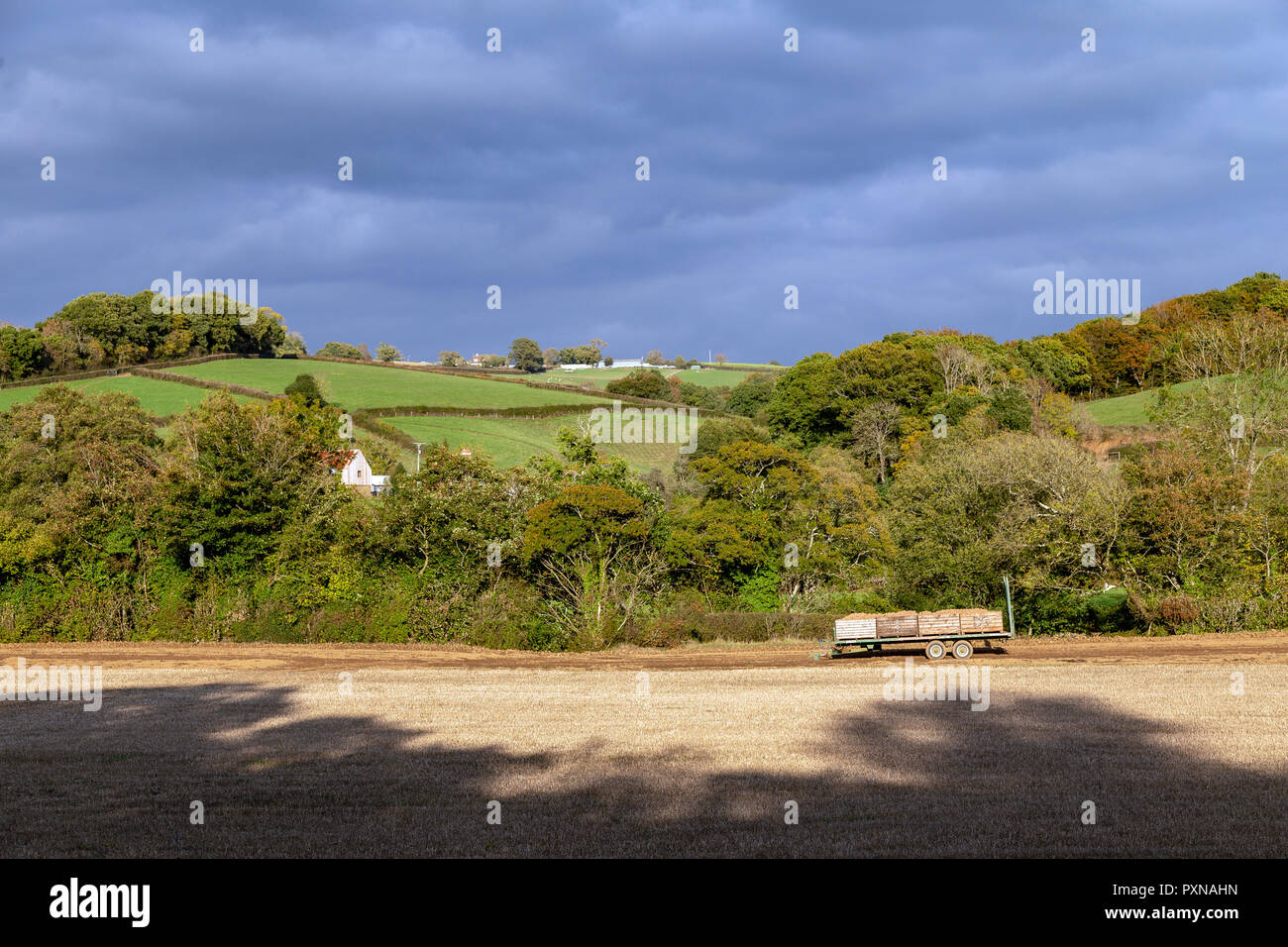 Agriculture in teign valley hi-res stock photography and images - Alamy