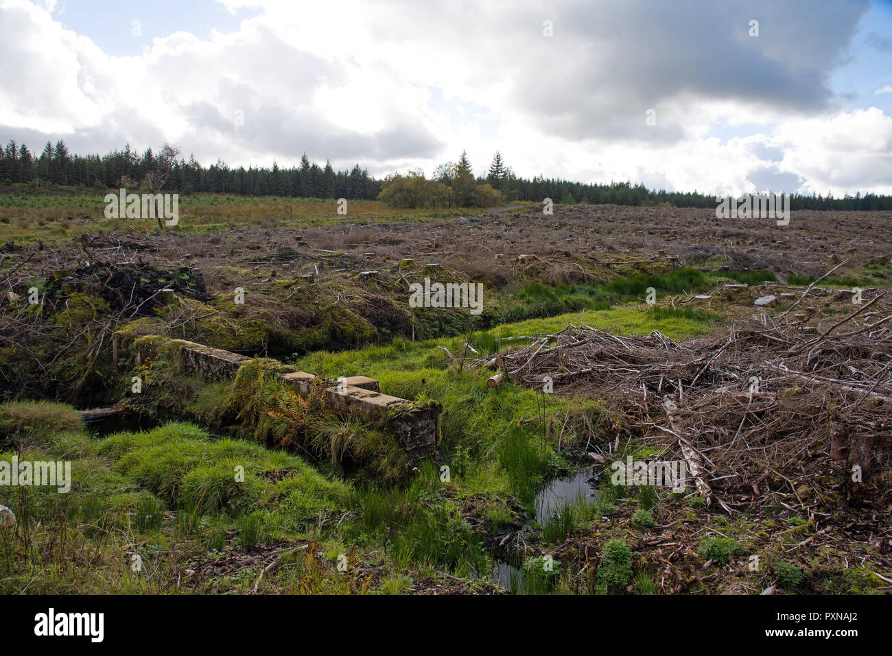 Scenic view on Lough Navar Forest in Co. Fermanagh, Northern Ireland ...