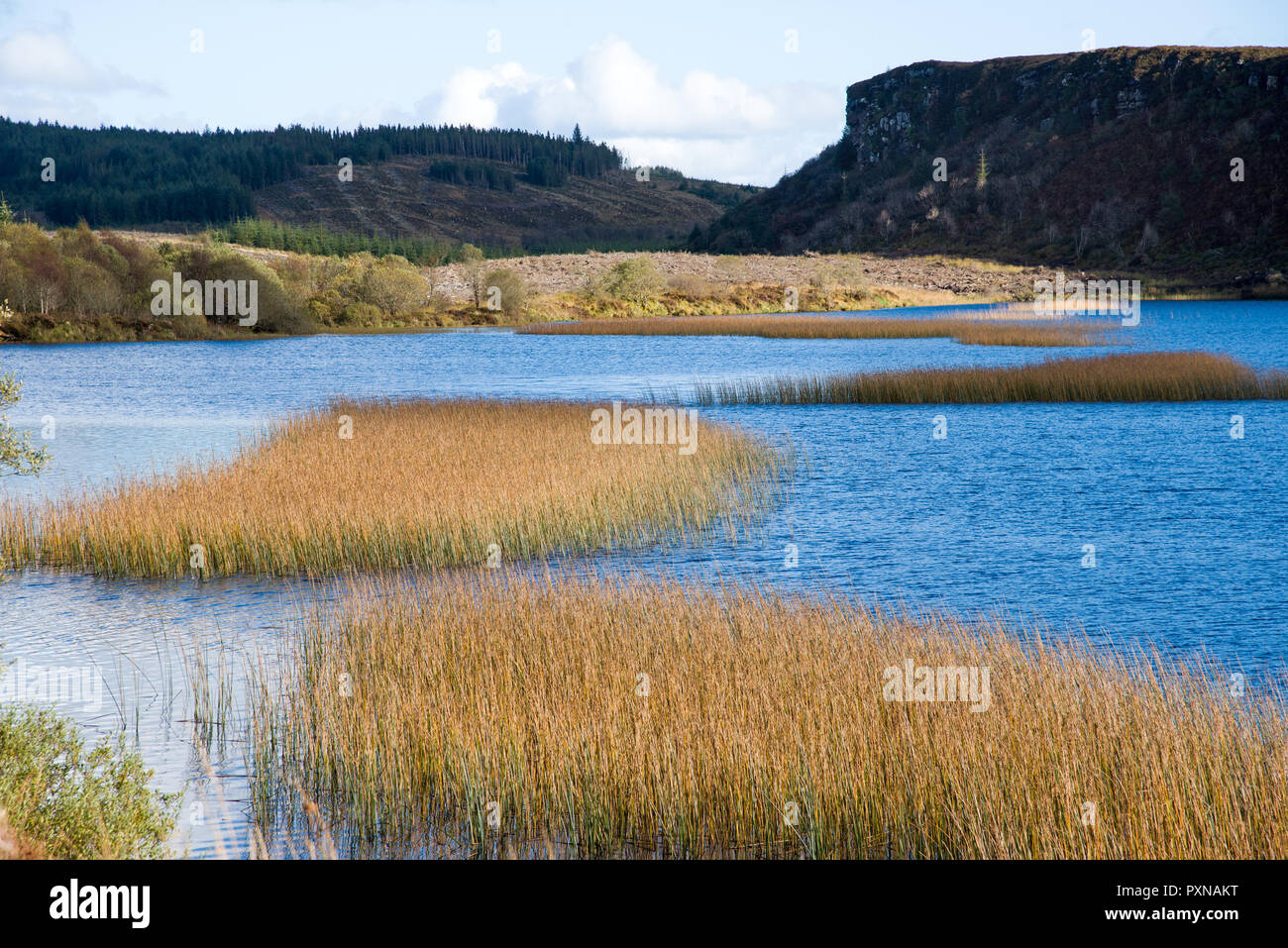 Scenic view on Meenameen lake in Lough Navar Forest in Co. Fermanagh ...