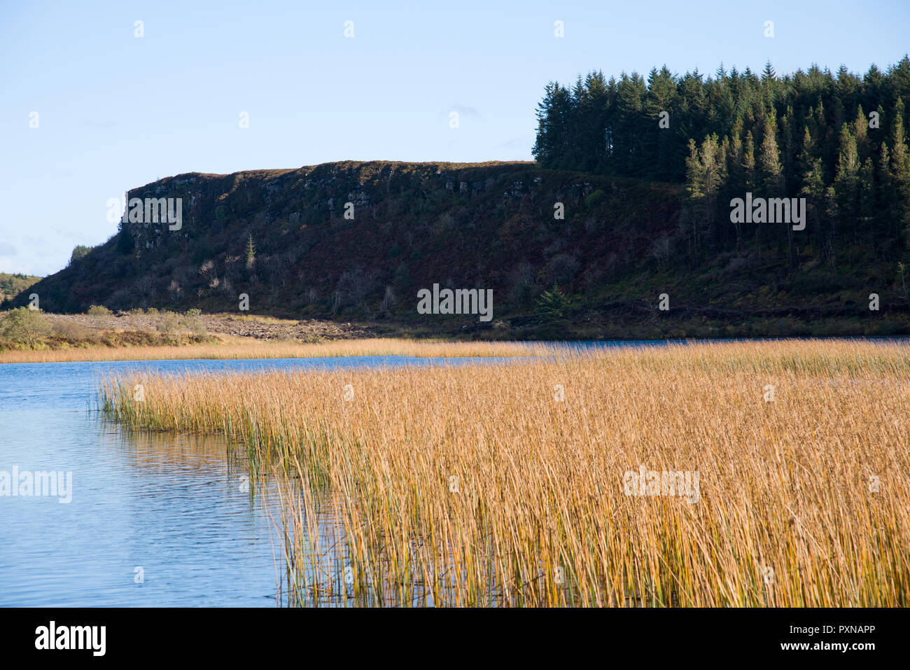 Scenic view on Meenameen lake in Lough Navar Forest in Co. Fermanagh ...