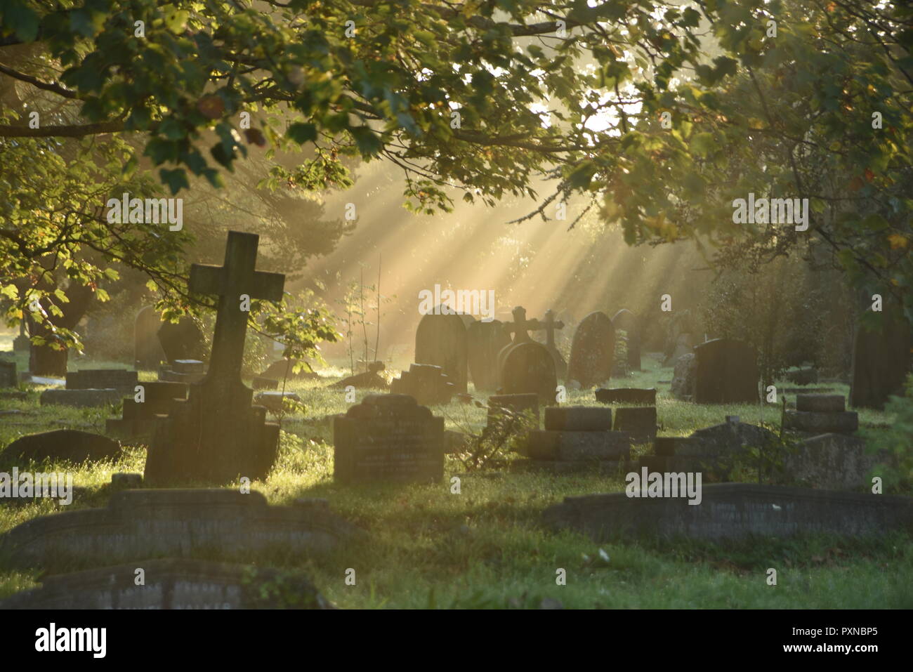 Graveyard hi-res stock photography and images - Alamy