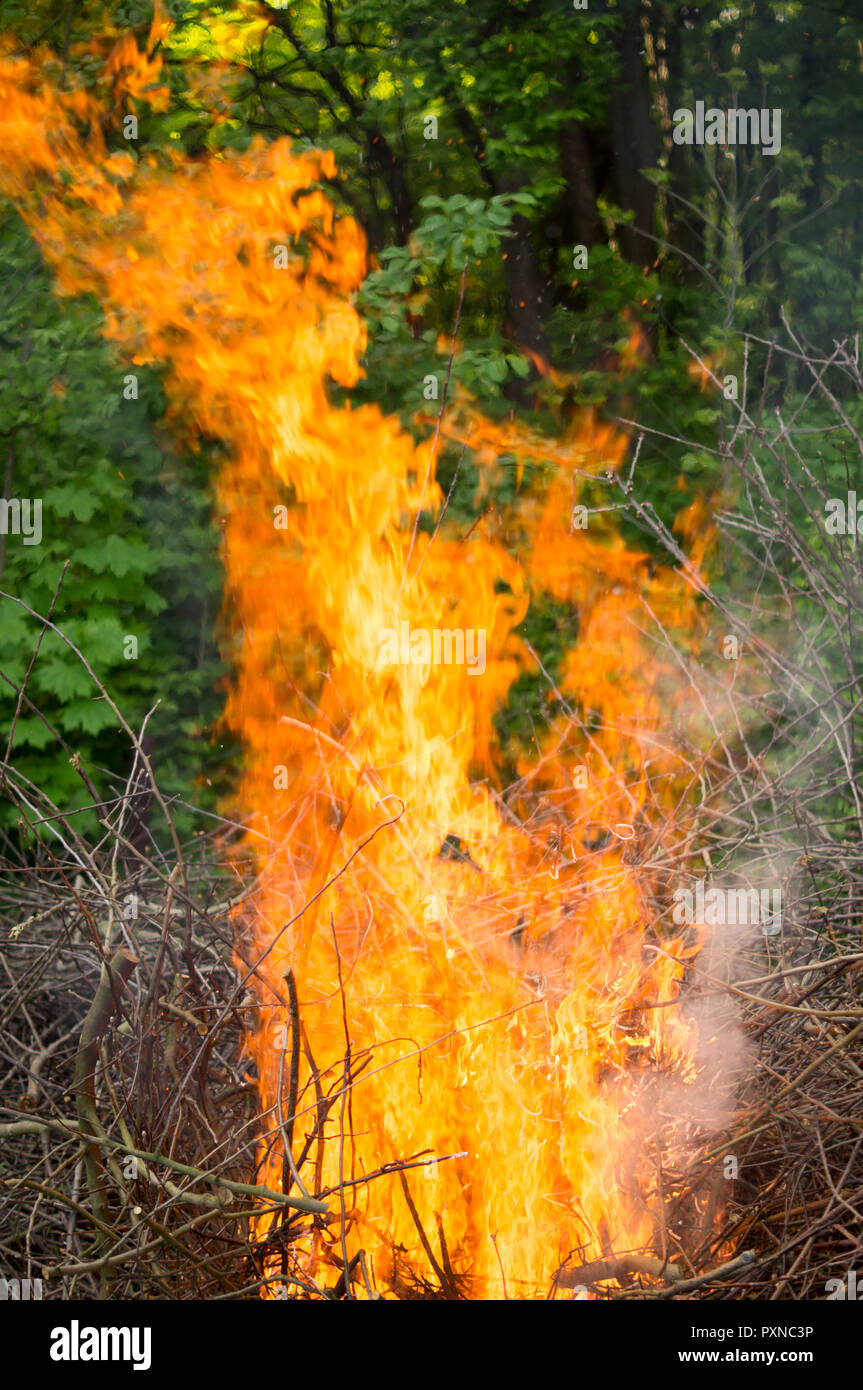 Bright big bonfire while burning a large number of garbage branches ...