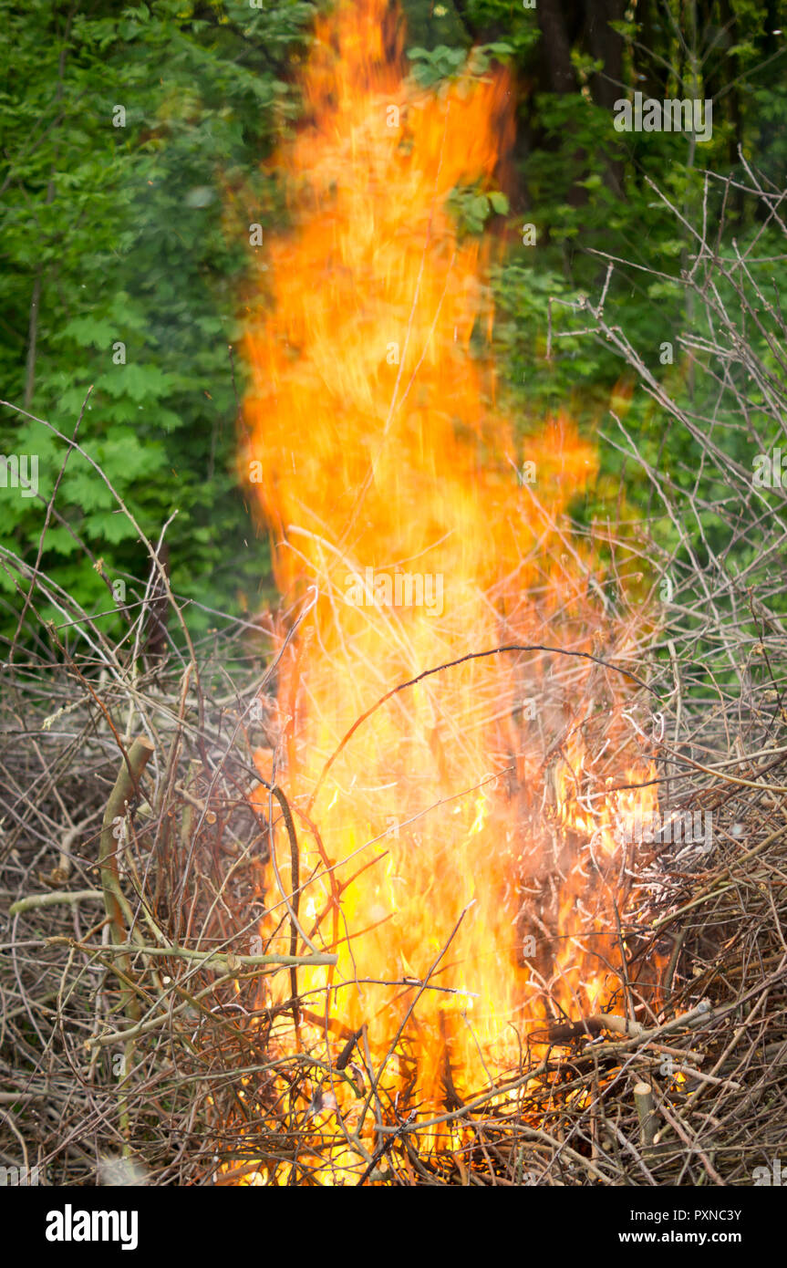 Bright big bonfire while burning a large number of garbage branches ...