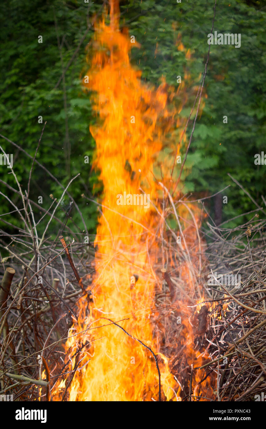 Bright big bonfire while burning a large number of garbage branches ...