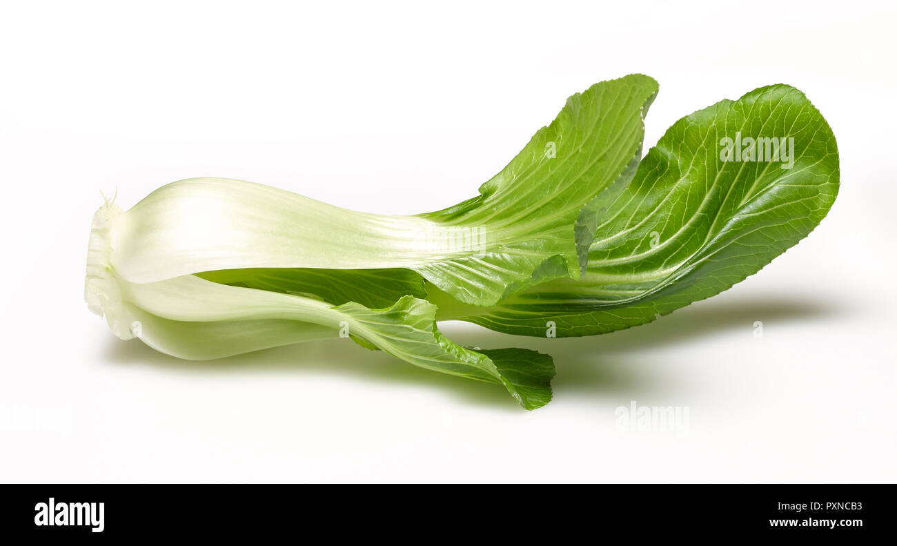 Choi hi-res stock photography and images - Alamy