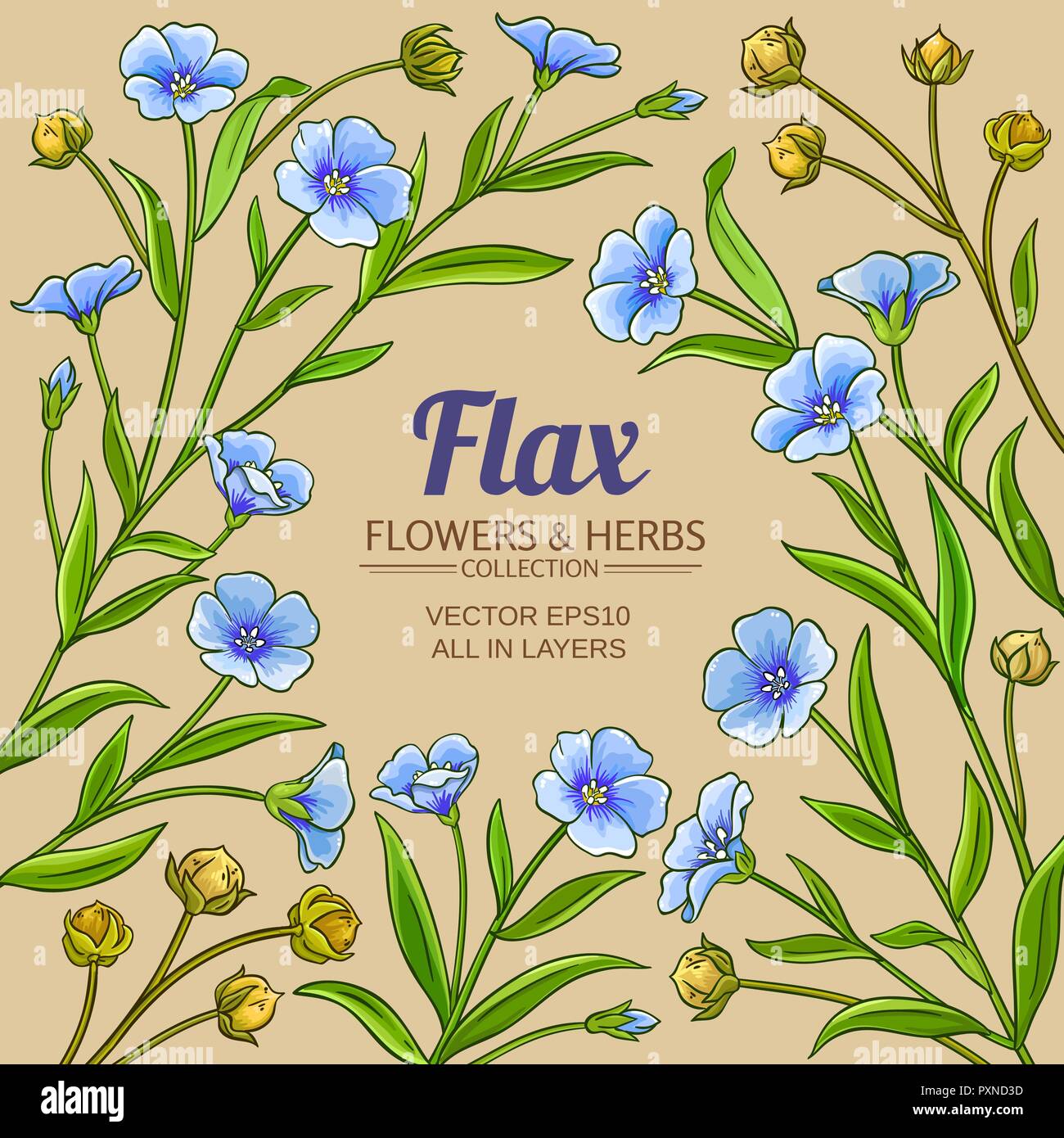 flax vector frame on color background Stock Vector Image & Art - Alamy