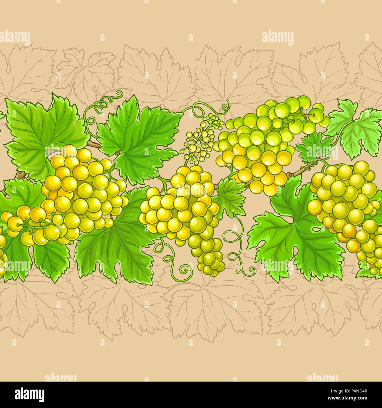 grapes vector horizontal pattern on color background Stock Vector Image ...